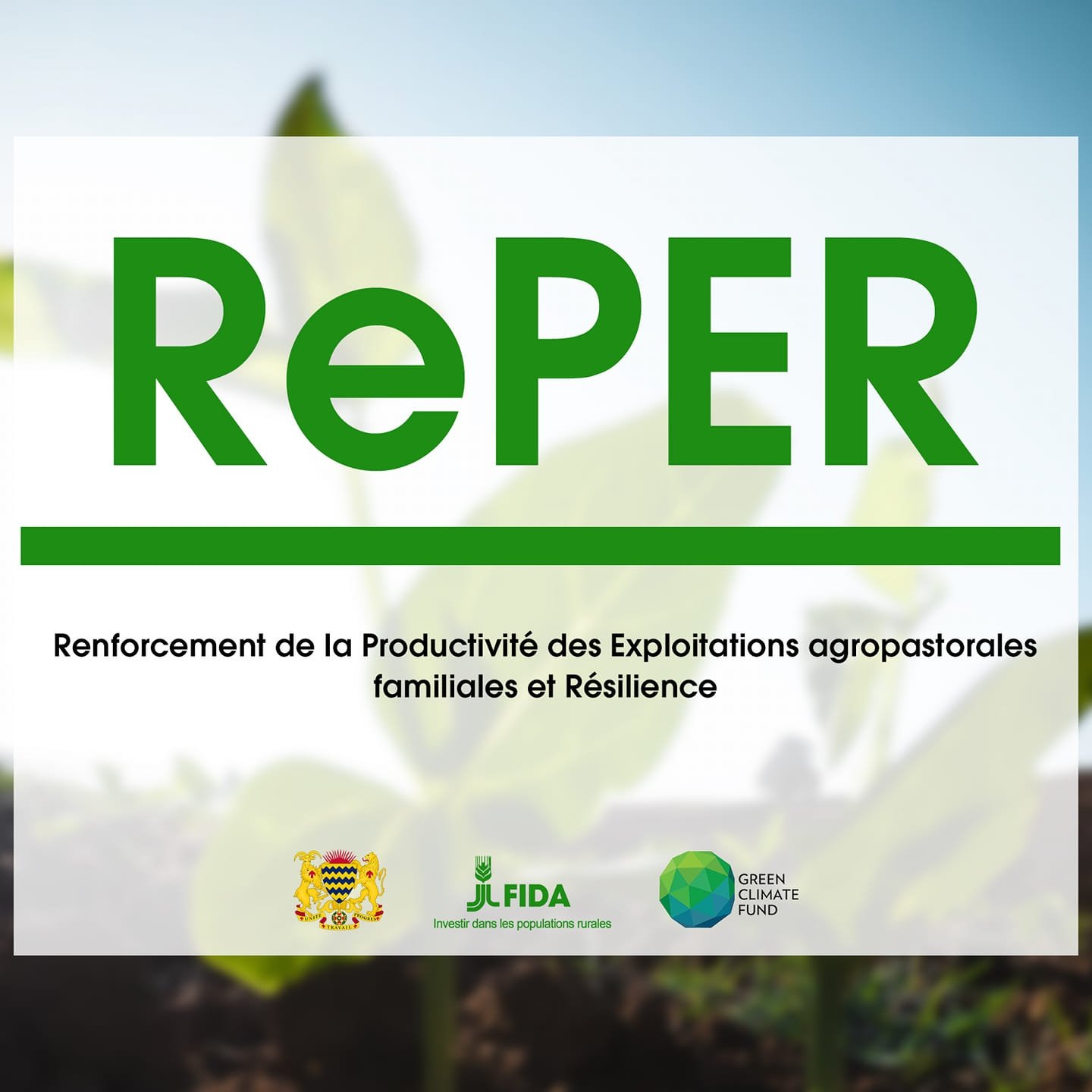 Renforcement de la Productivité des Exploitations agropastorales ...